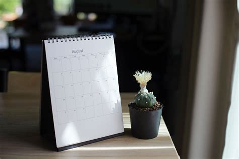 비즈니스 테이블에 놓인 달력 책상 플래너용 데스크톱 캘린더는 사무실 테이블에서 의제 시간표 약속 조직 관리 각 날짜 월 및