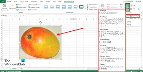 how to crop an image to shape in excel