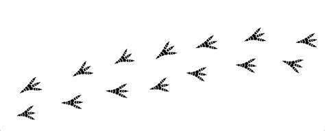 티라노사우루스 렉스 풋 프린트 트레일 T렉스 풋 프린트 기호 공룡 T렉스 풋 프린트 스탬프 트랙 템플릿 벡터 스톡 일러스트레이션 갈고리 발톱에 대한 스톡 벡터 아트 및 기타