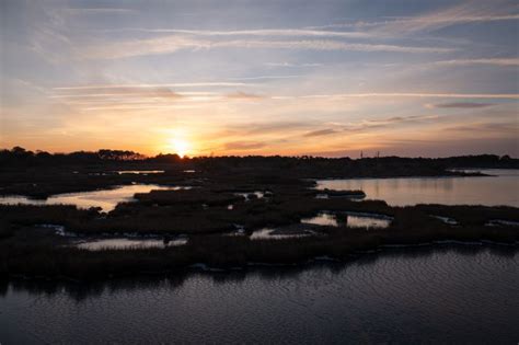 Im Happy To Share That Ive Started A New Position As Nature Based