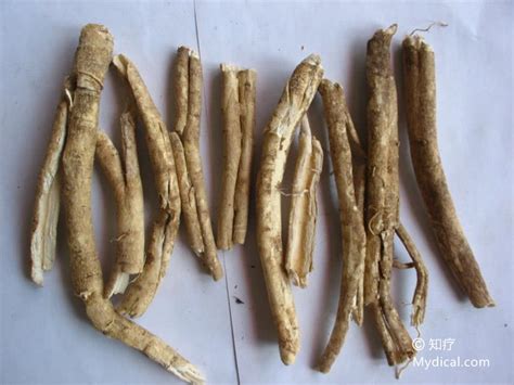 白鲜皮的别名 白鲜皮植物图片 大山谷图库