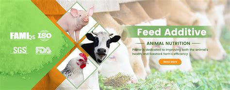 What Is The Role Of Feed Additive Canthaxanthin