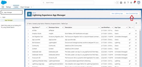 Pre Requisite Setup To Enable Api Access In Salesforce Accelq