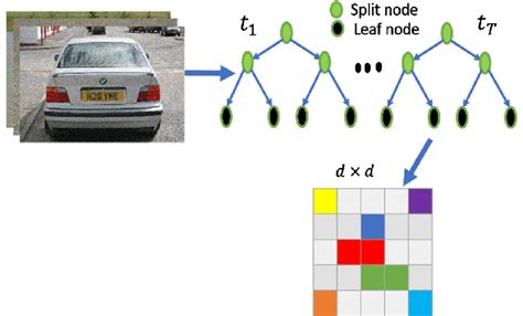 texton patches and binary decision trees download scientific diagram