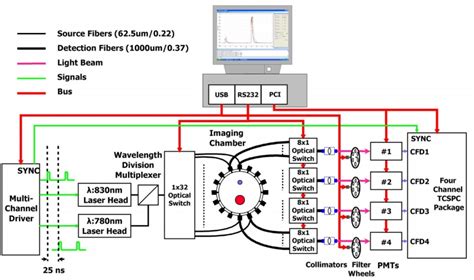 Schematic Diagram Of The Developed Hybrid Td Fluorescence And