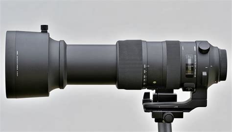 Sigma 60-600mm f/4.5-6.3 DG OS HSM Sports: wszechstronny mistrz wagi ...