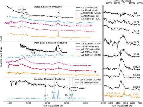 A Fast Rising Tidal Disruption Event From A Candidate Intermediate Mass Black Hole [heap] Arxiver