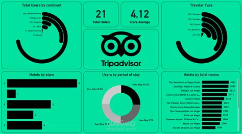 trip advisor dashboard مستقل
