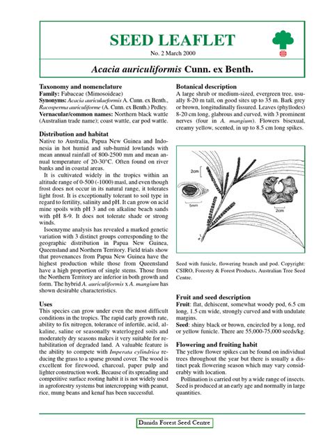Acacia Auriculiformis 2 Pdf Seed Agriculture