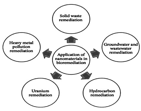 Application Of Nanomaterials In Bioremediation Of Pollutants Download Scientific Diagram