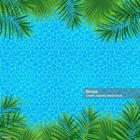 바다 열 대 디자인입니다 이국적인 식물 바다 텍스처 텍스트를 위한 장소 사각형 테두리 프레임입니다 벡터 일러스트입니다 아름 다운 트로픽 배경 막입니다 최신 유행 스타일입니다