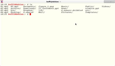 fonts xterm displays an italic face instead of regular unix and linux