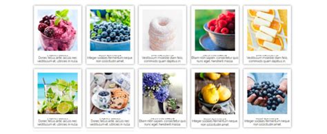 Polaroid Gallery Photo Gallery Plugin Feature To Use