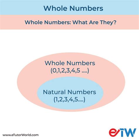 Whole Numbers Definition Whole Number And Faqs
