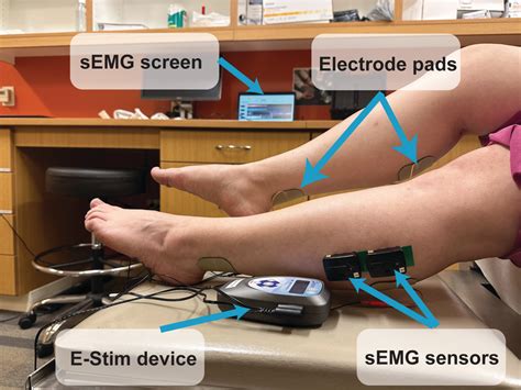 Study Setup Electrical Stimulation Device Plugs And Pads And Surface