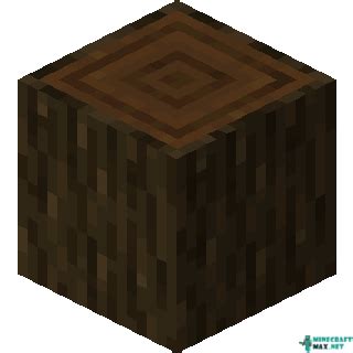 Dark Oak Log How To Craft Dark Oak Log In Minecraft Minecraft Wiki
