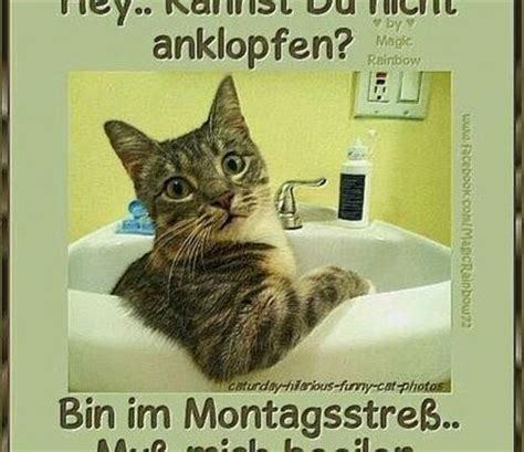 Guten Morgen Hase Liebevolle Gr E Als Bilder