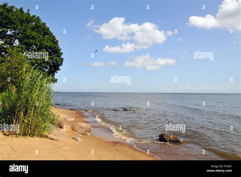 Lake Peipus Area