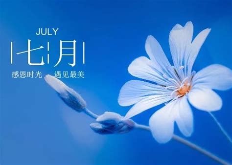 7月第一天的朋友圈图片 7月第一天发的图片说说2023配图网