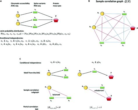 Introduction Conceptual Workflow Of The Article A The Causal