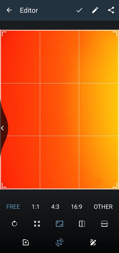 Can T Crop With Enabled System Navigation Gestures Issue SimpleMobileTools Simple