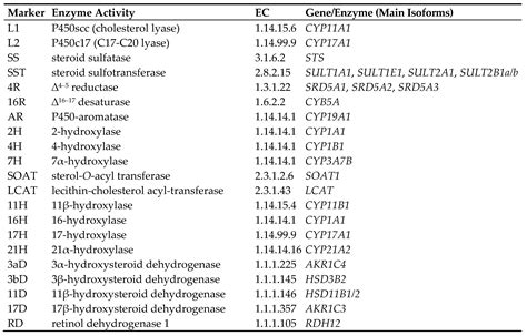 IJMS Free Full Text The Roles Of Androgens In Humans Biology Metabolic Regulation And Health