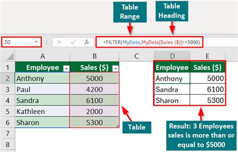 Excel FILTER Function Examples Multiple OR Date Text Blanks