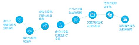 虚拟化平台运维服务 运维服务 天翼 数字化服务提供商