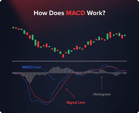 Quadcode Top 15 Technical Trading Indicators For 2025