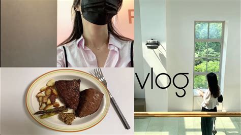 Vlog 직장인브이로그 건강하게 먹기🥬🥩🍳스테이크굽기•알배추말이•쫄면 취미에 진심인 편에드워드호퍼 전시 번아웃에