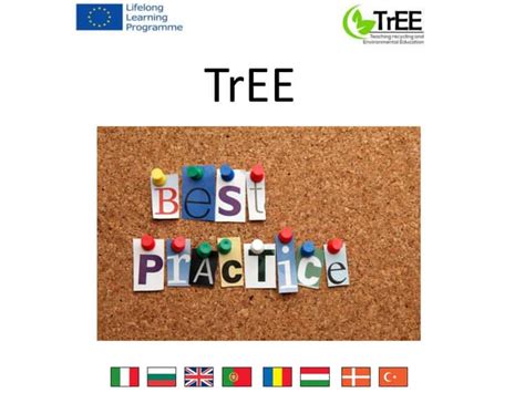 Tree Best Practice Collection Ppt
