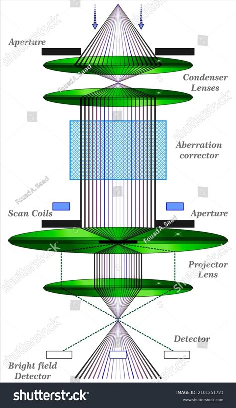 Schematic Aberration Corrected Stem Stock Vector Royalty Free 2101251721 Shutterstock