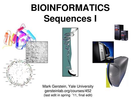 Ppt Bioinformatics Sequences I Powerpoint Presentation Free Download