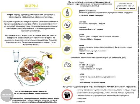 Таблица жиров Питание Здоровое питание