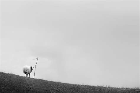 Mostafa Nodeh Photographer All About Photo