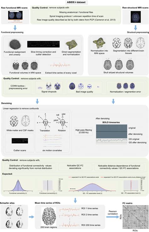 schematic diagram summarizing the rs fmri processing pipeline employed