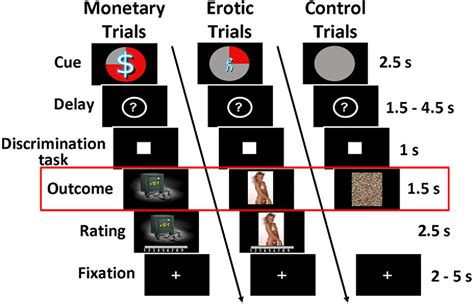 Figure 1 From Local Morphology Predicts Functional Organization Of
