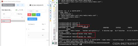 Docker配置redis持久化dockerunseetech Csdn博客