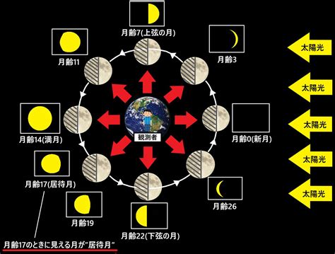 居待月とはどんな形の月なのかを図で解説