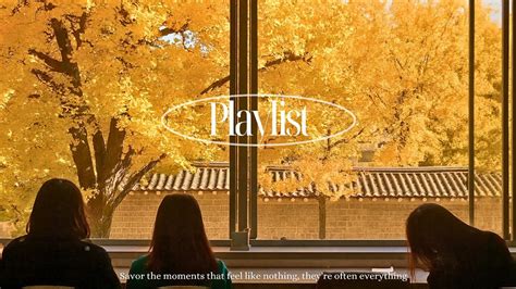 𝐏𝐥𝐚𝐲𝐥𝐢𝐬𝐭 주문하신 가을이 나왔습니다 🍂 가을 감성 Pop 플레이리스트 🎶 Youtube