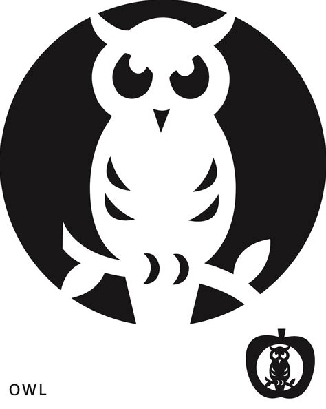 Halloween Pumpkin Templates Owl At A Glance