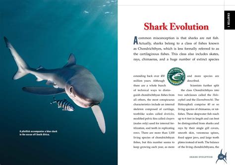 The Shark Handbook Second Edition Book By Greg Skomal Official