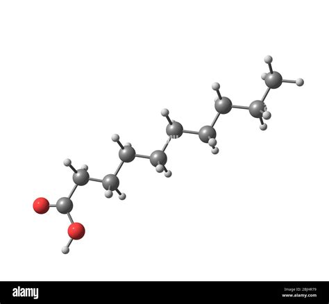 Capric Acid Structure