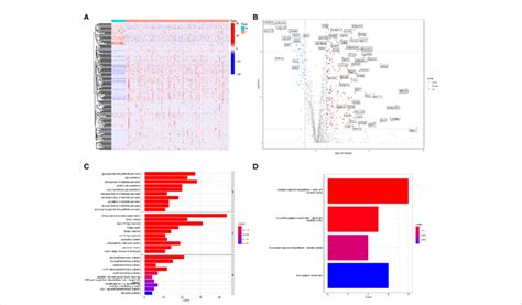 Identification Of Differentially Expressed Gargs In Hcc A The Download Scientific Diagram