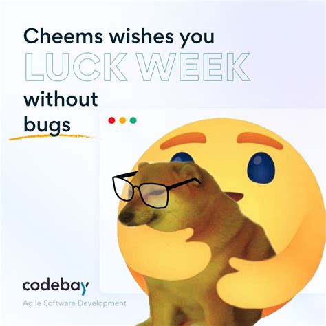Codebay On Linkedin Codebay Cheemsmeme