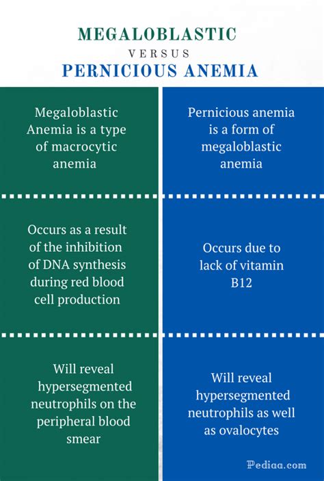 Difference Between Megaloblastic And Pernicious Anemia Causes Signs And Symptoms Diagnosis