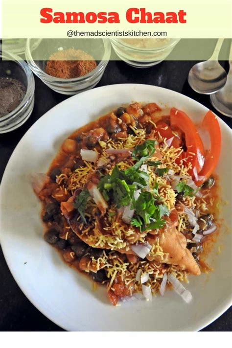 Samosa Chaat Recipe The Mad Scientists Kitchen