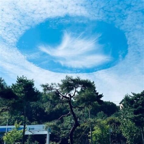 S울산 하양이 함께 밝게☀️ 그냥 넘어갈 수 없는 구름 ☁️ 만물을 통해서도 많은 것을 느껴 풍성해지는 우리가 되길 🫶🏻 구름 뉴스 새모양구름 자연 기분