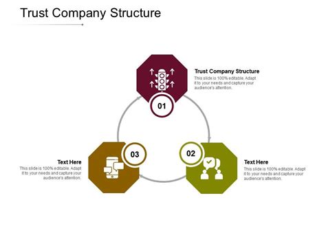Trust Company Structure Ppt Powerpoint Presentation Slides Influencers Cpb Presentation