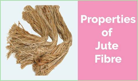 A Proper Guide To Different Types Of Towel Textile Apex